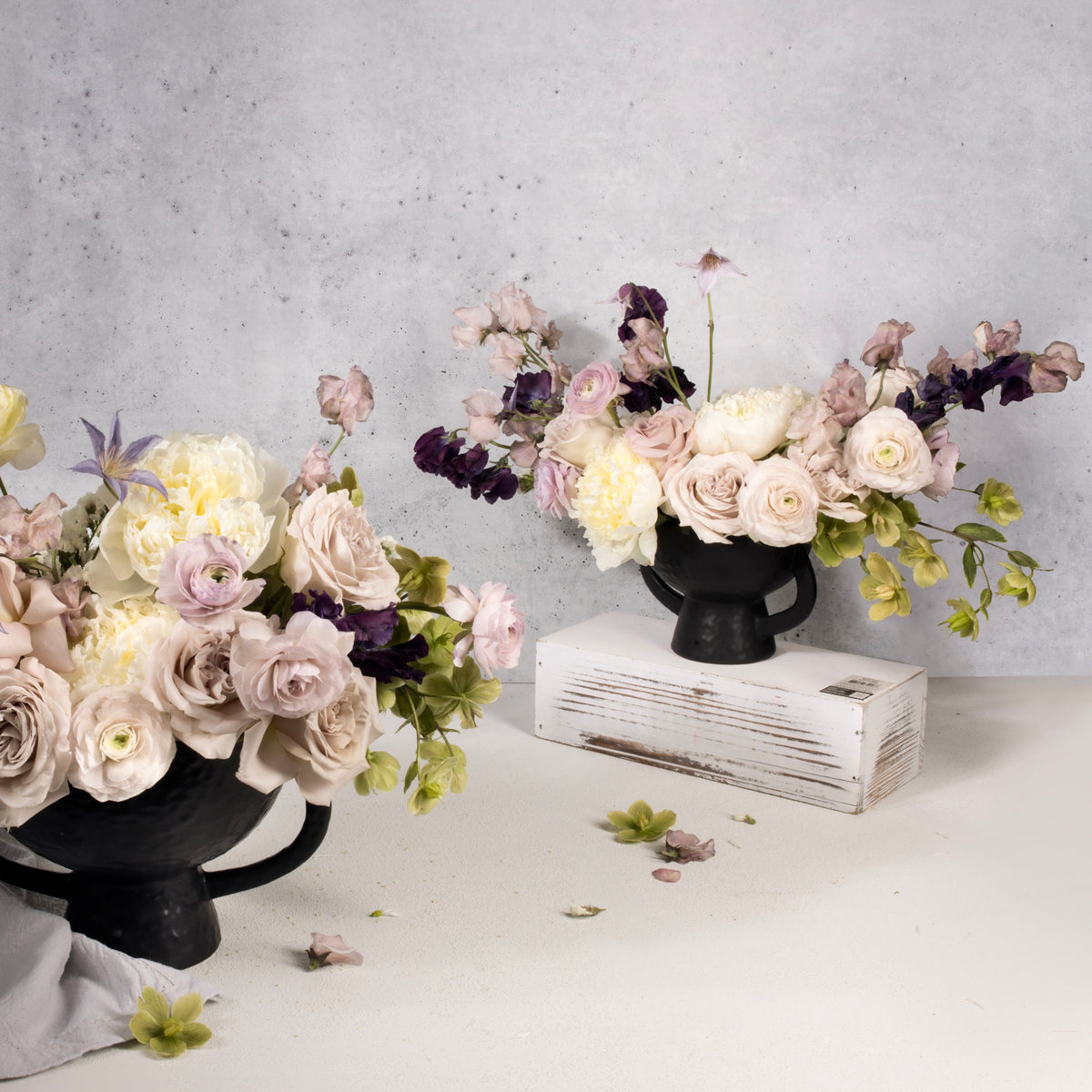 Lavender Haze Collection – Daphnes Petals
